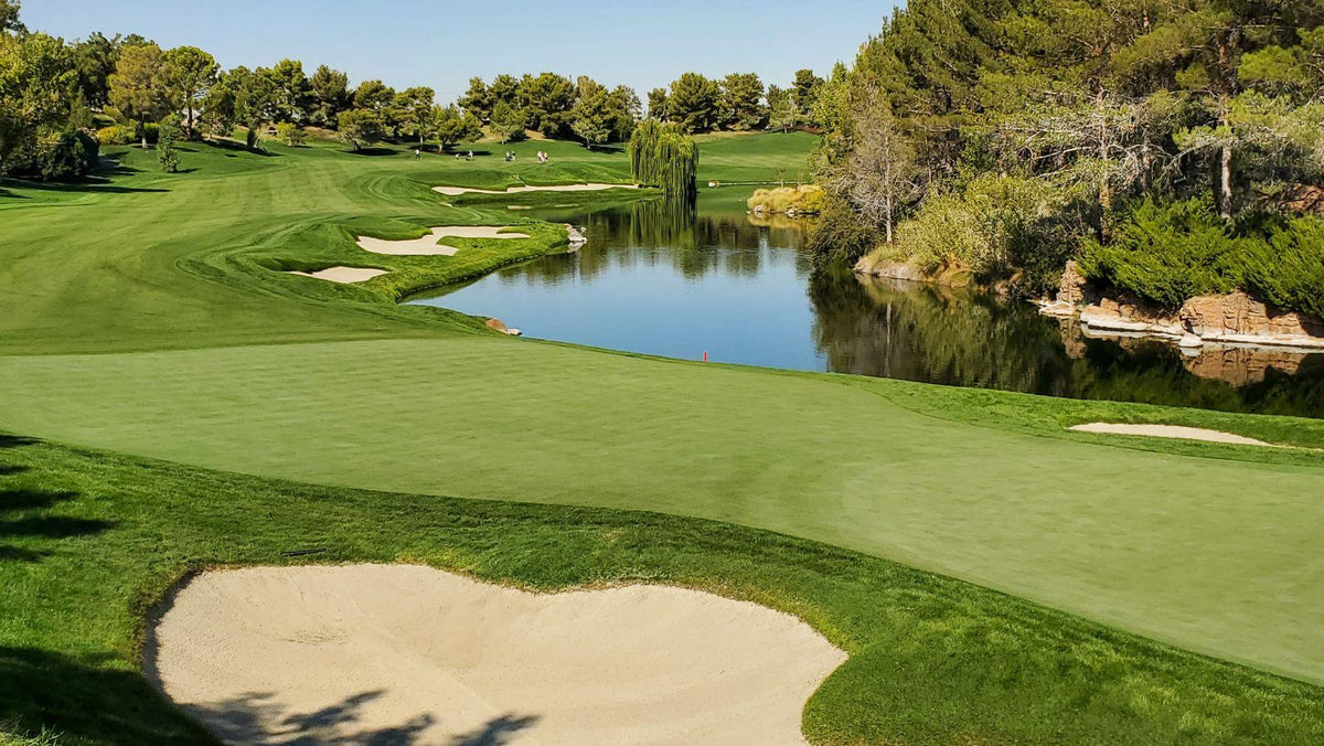 Harnessing the Power of Launch Monitor Data for Game Improvement ...