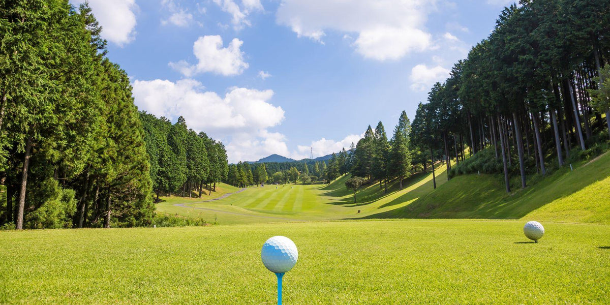 A Closer Look at Top Golf Simulator Software — Simply Golf Simulators