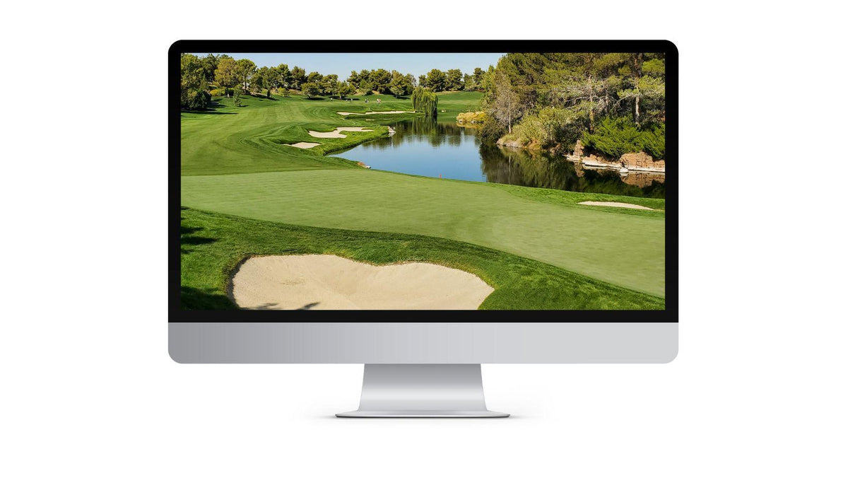 Projector and Screen vs. Hitting Net and Computer Screen for Golf Simu ...