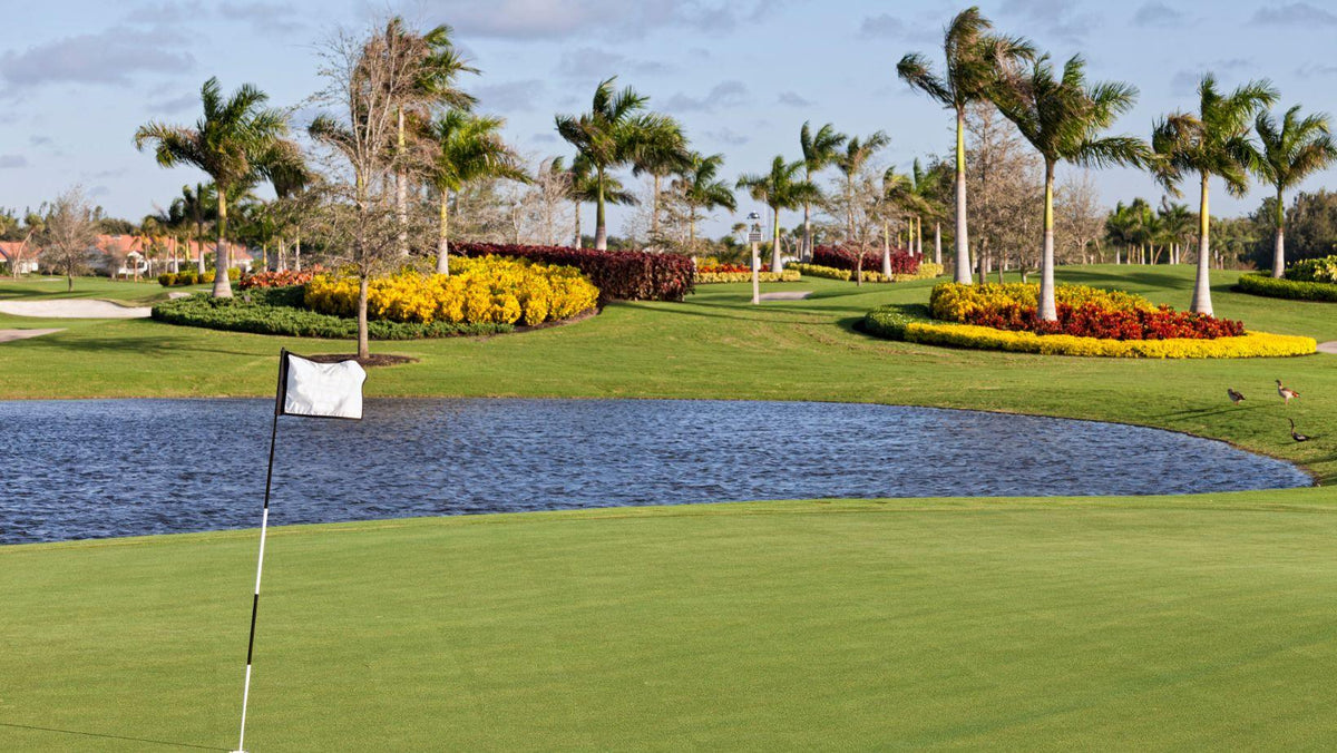 Crafting the Ultimate Golf Simulator Space — Simply Golf Simulators