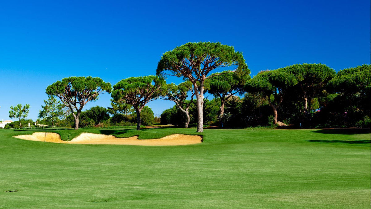 Golf Simulator: More Than Just Fun – A Serious Practice Tool — Simply ...