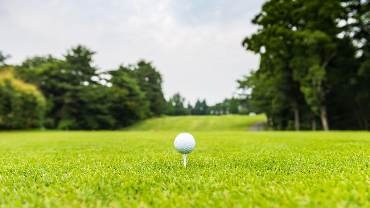 A Golfer's Guide to Understanding Launch Monitor Data — Simply Golf ...