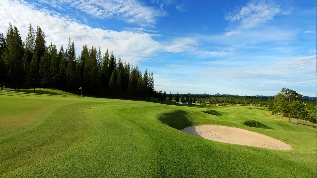 Swing for the Virtual Green: Exploring the Best Golf Simulator Courses ...